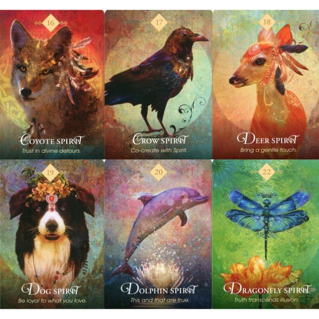 Oracle Cards The Spirit Animal by Colette Baron-Reid - Healing Light