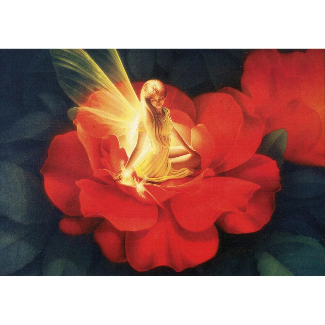 Blank Greeting Card - Night Light - Healing Light